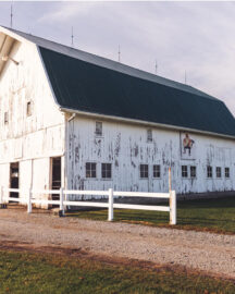 A Purdue Pete barn at Smith Family Farms - Purdue Stories