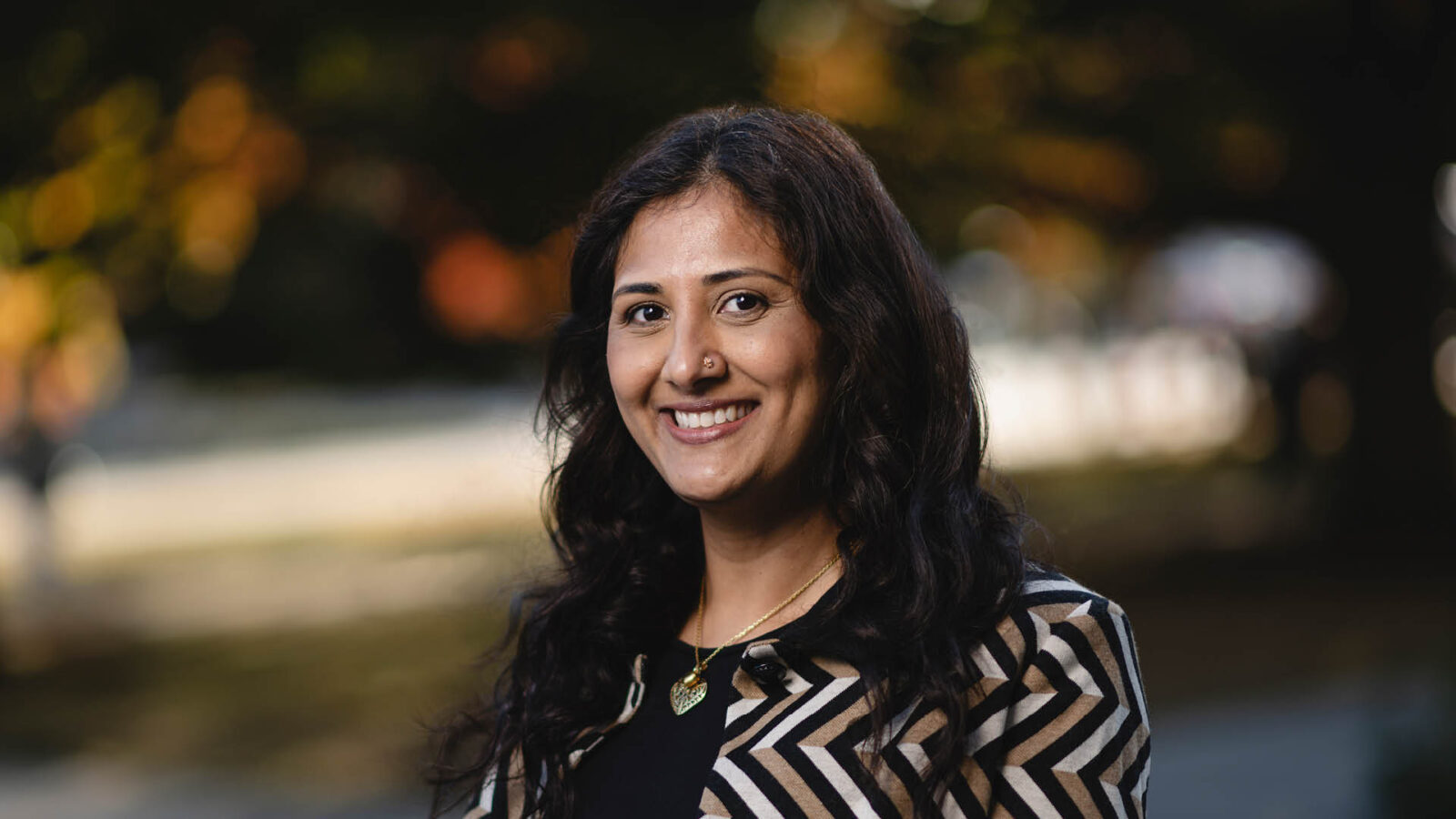 What are land-grant universities and why do they exist?