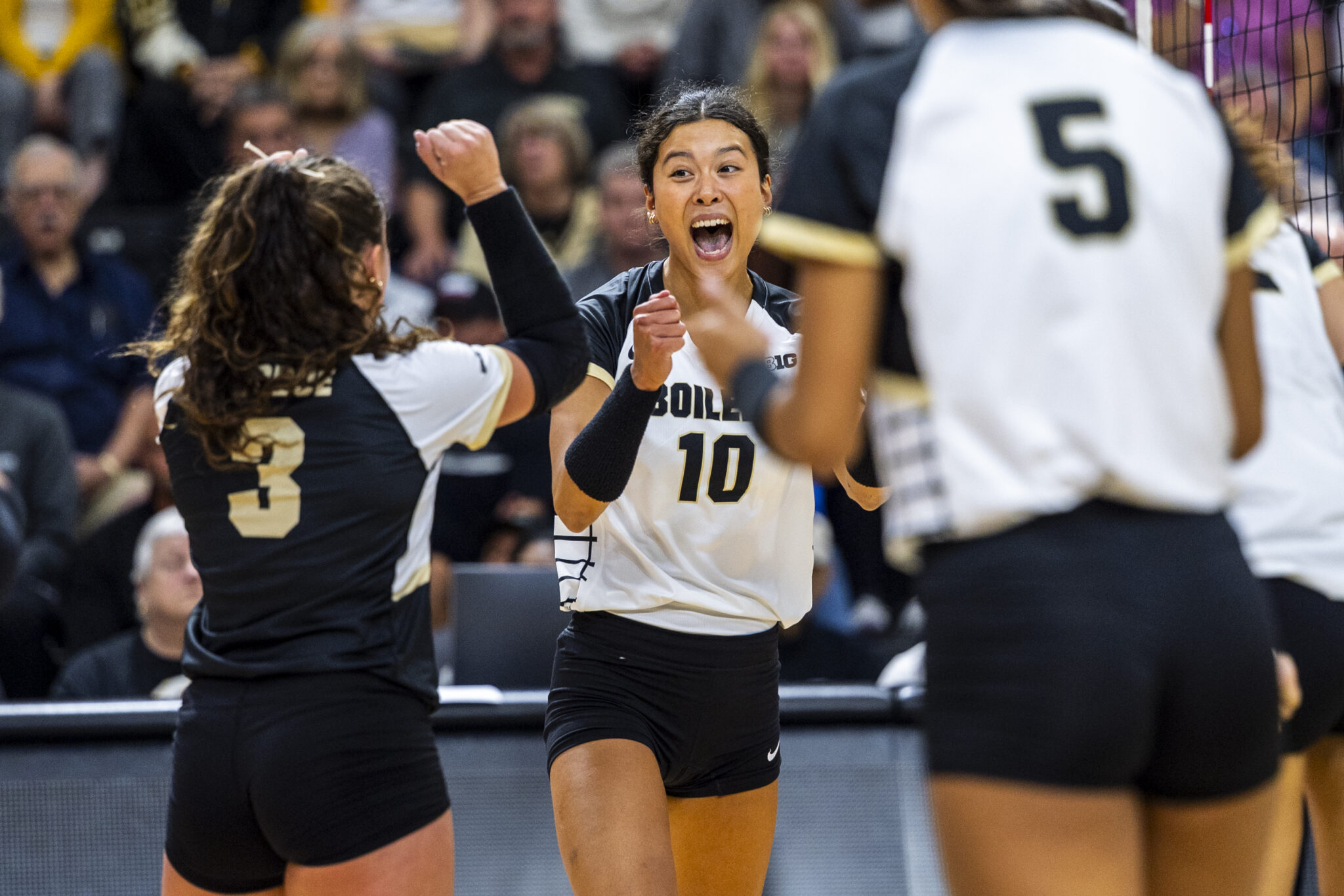 Purdue volleyball rises to the occasion - Purdue Stories